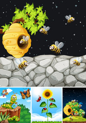 Set different insects living in garden Royalty Free Vector