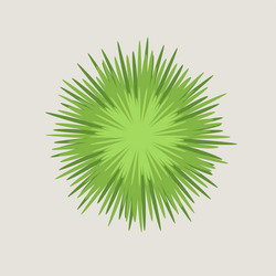 Tree crown flat design Royalty Free Vector Image