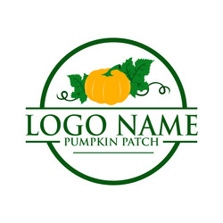 Pumpkin logo concept isolated on white background Vector Image
