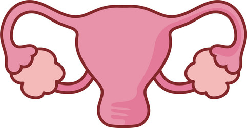 Female Reproductive System Vector Images (over 4,400)