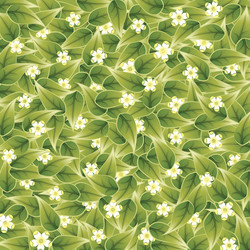Nature Pattern Vector Images (over 1 million)