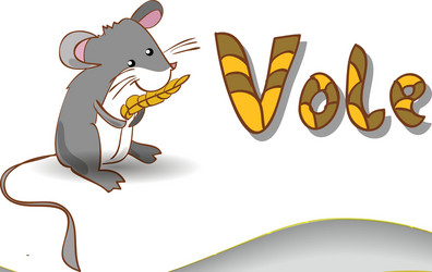 Cartoon Vole