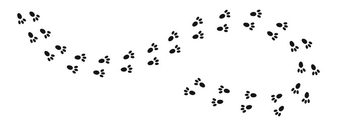 Bunny wet or mud pawprints rabbit paw silhouettes Vector Image