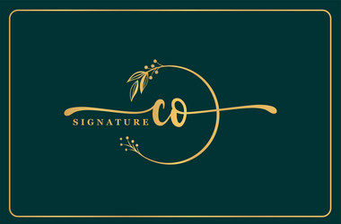 Luxury gold signature initial co logo design Vector Image