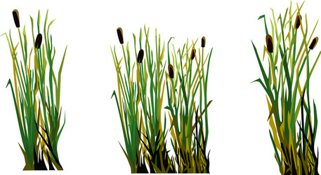 Marsh Grass Vector Images (over 920)