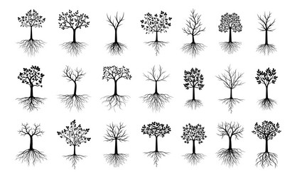 Color tree with roots Royalty Free Vector Image