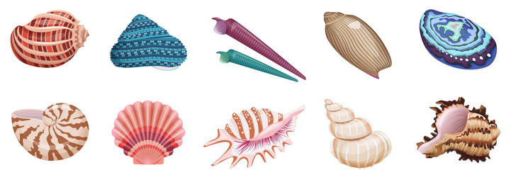Colorful tropical shells underwater icon set Vector Image