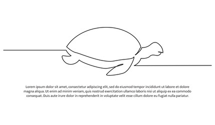 Turtle line design simple animal silhouette Vector Image