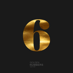 Cheese number 6 six font kids number figure 6 Vector Image