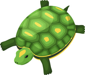 Sea turtle cartoon animal Royalty Free Vector Image