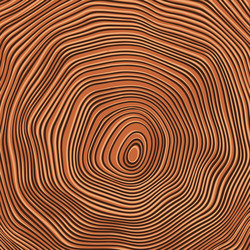 Tree rings background Royalty Free Vector Image