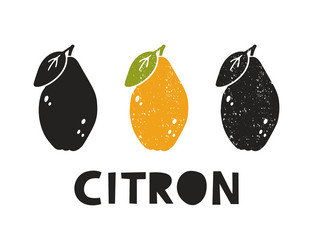 Citron Vector Images (over 3,300)