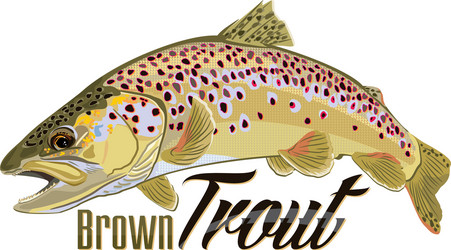 Trout Vector Images (over 11,000)