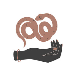 Snake bite hand traditional snake handshake Vector Image