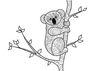 Koala bear adult coloring page Royalty Free Vector Image