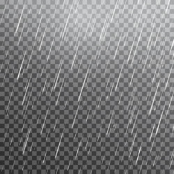 Rain on white transparent background realistic Vector Image