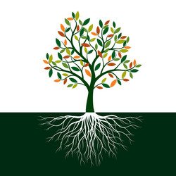 Color tree with roots Royalty Free Vector Image