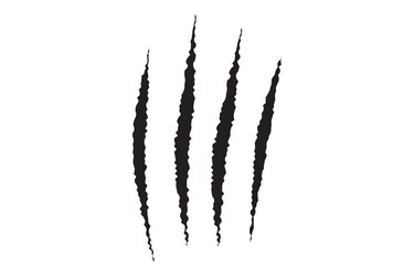 Three cat scratches on white background Royalty Free Vector