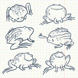 Frog Line Drawing Vector Images (over 2,000)