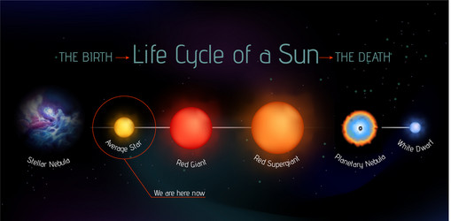 Sun life cycle stellar evolution Royalty Free Vector Image