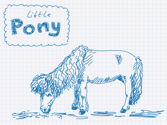 Pony Vector Images (over 31,000)