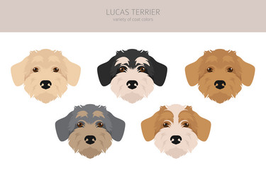 Lucas Vector Images (65)