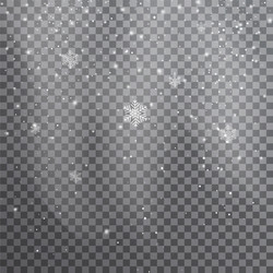 Snow transparent realistic background Royalty Free Vector