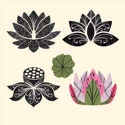 Lotus set Royalty Free Vector Image - VectorStock