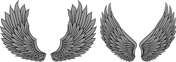 Heraldic wings with feathers isolated on white Vector Image