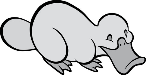 Monotremes Vector Images (72)