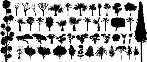 Isometric tree plants cactus bush set Royalty Free Vector