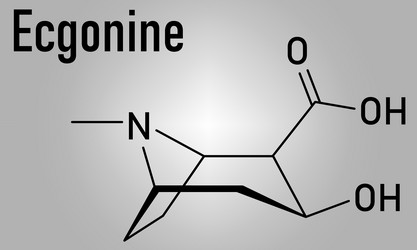 Hygrine coca alkaloid molecule skeletal formula Vector Image