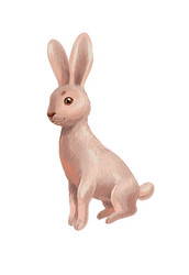 Adorable leveret cute wild forest animal cartoon Vector Image