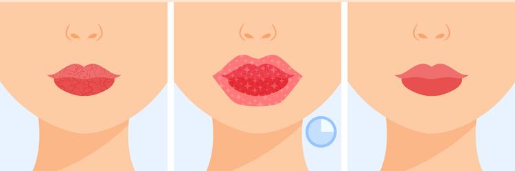 Hydrogel Vector Images (over 280)