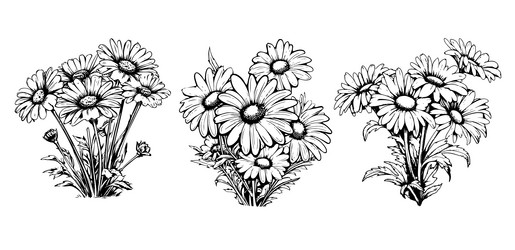 Daisy Outline Vector Images (over 15,000)