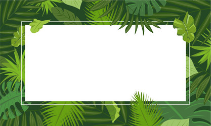Rainforest Border Paper