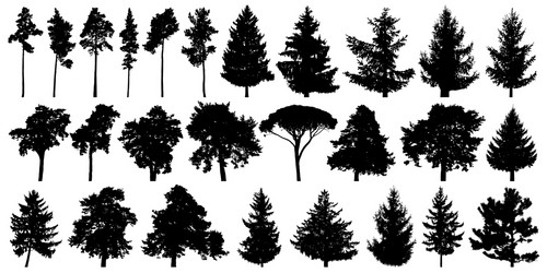 Forest Skyline Black and White Vector Images (over 230)