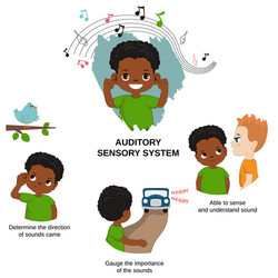 Five senses poster hearing sense presentation Vector Image