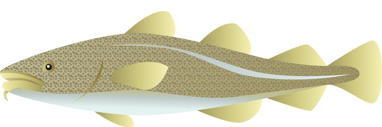 Happy cartoon cod fish Royalty Free Vector Image