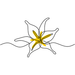 Continuous Flower Vector Images (over 11,000)