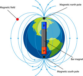 Scientific magnetic field different types set Vector Image