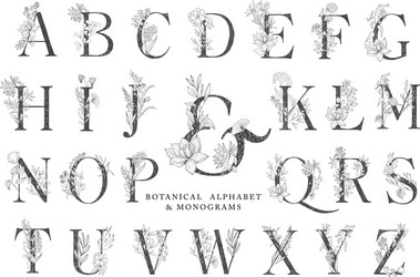 Floral botanical alphabet letter with plants Vector Image