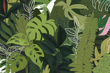 Nature Bg Vector Images (over 1,300)