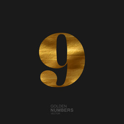 Cheese number 9 ninefont kids number figure 9 Vector Image