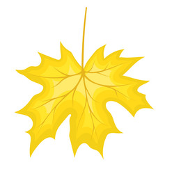 Cartoon red maple leaf Royalty Free Vector Image