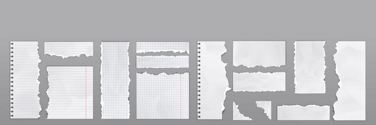 Torn notebook paper pages with ripped edges Vector Image