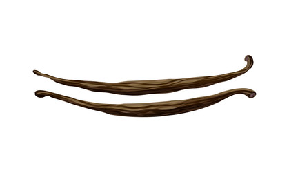 Vanilla beans bundle Royalty Free Vector Image
