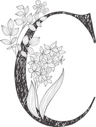 Letter o Royalty Free Vector Image - VectorStock