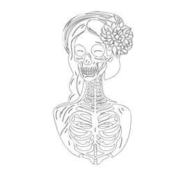 Bone girl outline sketch Royalty Free Vector Image