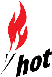 Skull in a flames hard rock music logo or emblem Vector Image